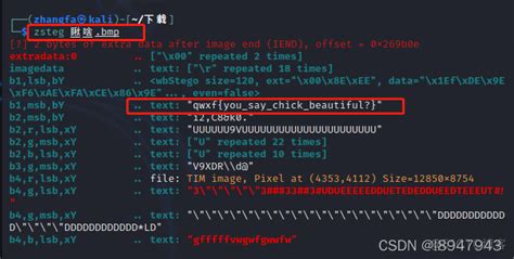 Xctf攻防世界 Misc高手进阶区 打野mb63524b8b20f07的技术博客51cto博客