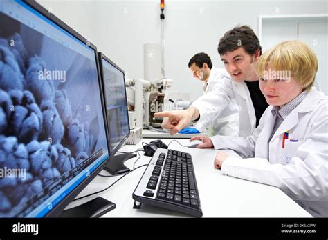 Discussing On Sem Images Analysis Of Nanostructures And Nanodevices