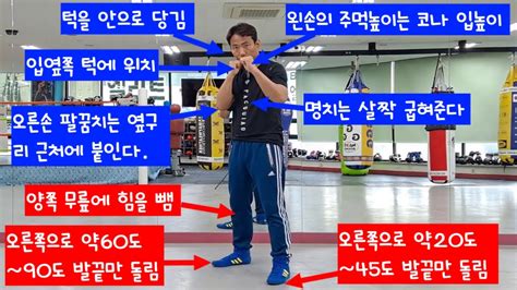 복싱기본자세and스텝뛰며 잽하는 방법 배우기 Youtube