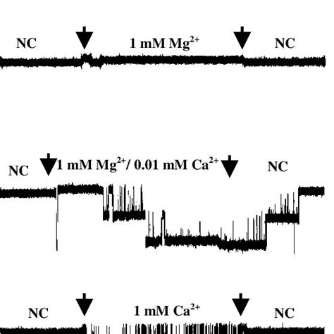 Two Examples Of Divalent Cation Regulation Of The Activity Of Download Scientific Diagram