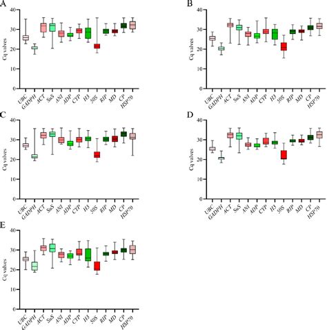 Figure 1 From Selection Of Suitable Reference Genes For Rt Qpcr Gene
