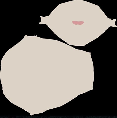 Solved Wrong Uv Mapping Autodesk Community