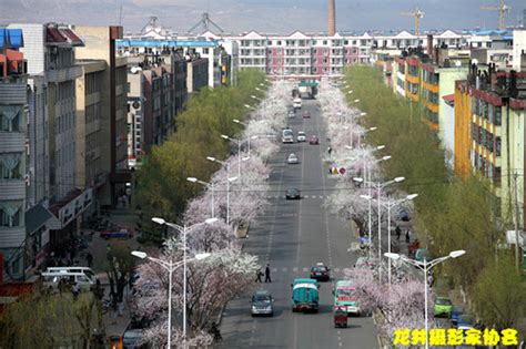 龙井市人民政府