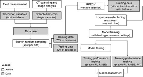 Workflow Of The Modelling Procedure Download Scientific Diagram
