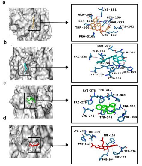 a interacting residues of pubchem100968214 having the highest binding