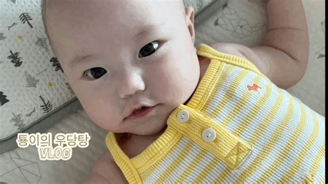 Vlog 툥이의 집콕 기록 육아브이로그 트루송쇼 1 Youtube