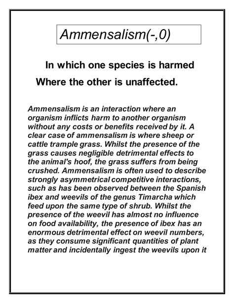 Population Interaction Docx