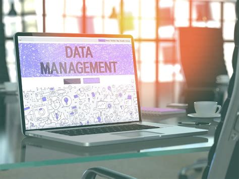 A Forex Traders Ideal Back Up System