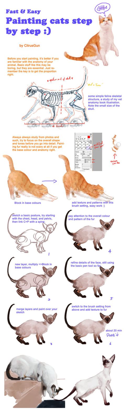 Painting Cats Tutorial By CitrusGun On DeviantART Katte Drawing Tegn