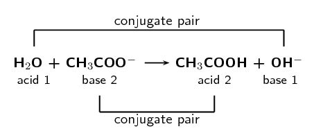 13 1 Acids And Bases Types Of Reactions Siyavula Worksheets Library