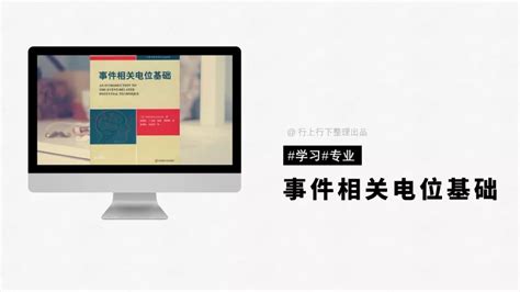 eeglab脑电数据预处理指导手册 eeglab中文手册 csdn博客