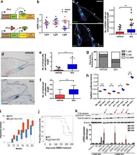 Figure 1 From A Cell In Semantic Scholar
