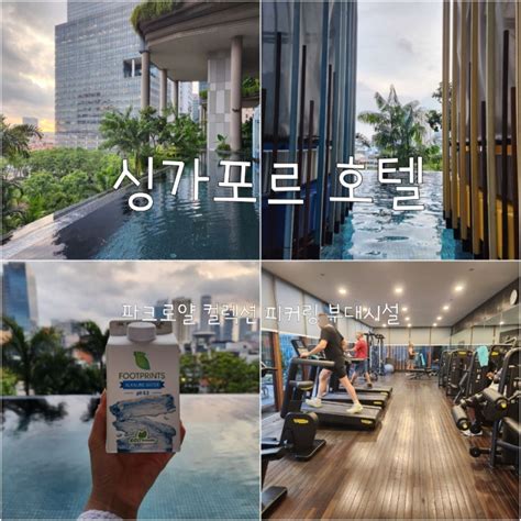 싱가포르 수영장 호텔 파크로얄 컬렉션 온 피커링 헬스장 및 부대시설 네이버 블로그
