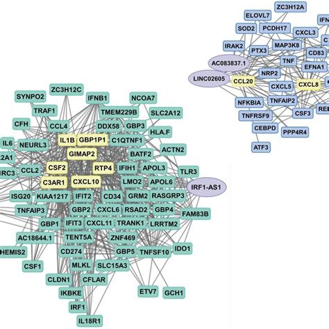 Co Expression Networks Of Delncrnas With Demrnas A Network Was Download Scientific Diagram