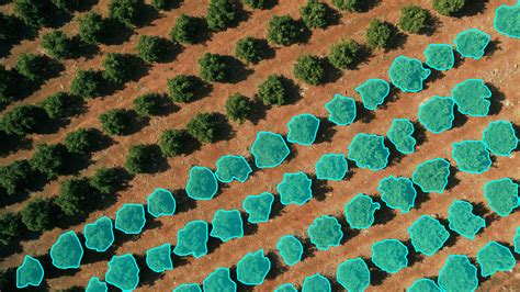 Geospatial Data Annotation For Ai And Ml Mindy Support Outsourcing