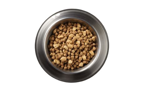 Pro Plan® Vet Diets | Purina for Professionals