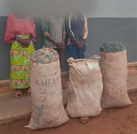 Mother Son Arrested With 105kgs Of Cannabis