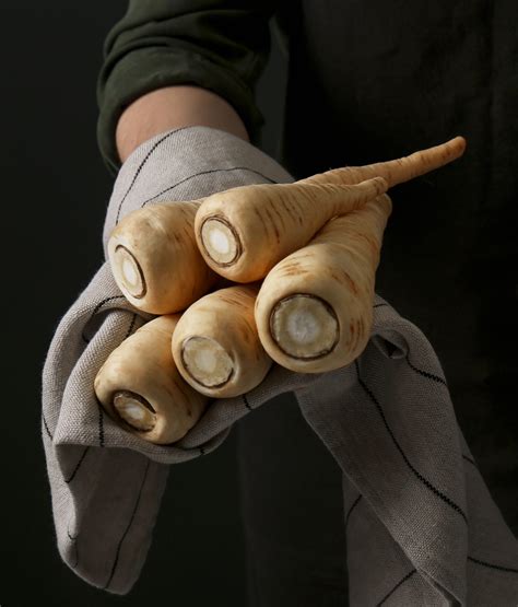 How To Sow And Grow Parsnips She Grows Veg