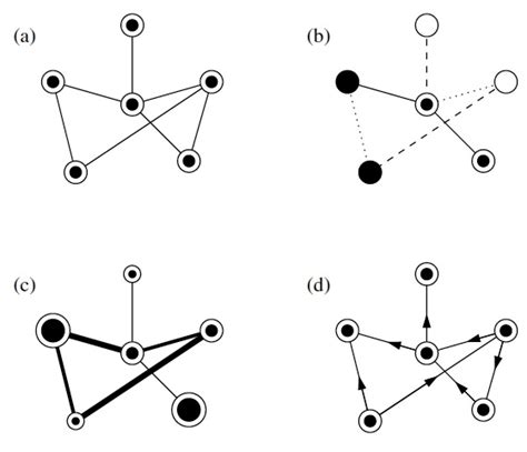 Undirected Network