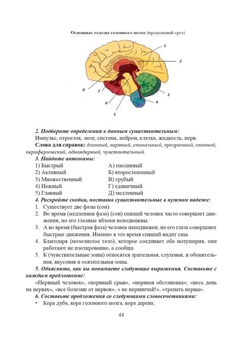 ПРАКТИЧЕСКИЙ КУРС РУССКОГО ЯЗЫКА Н И Дорцуева