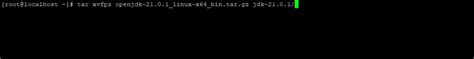 Centos에 Openjdk21 설치 주서브이즈