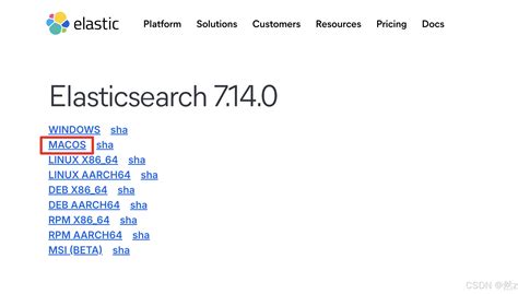 Elasticsearch 7140（适合小白的万字笔记！持续更新） Csdn博客