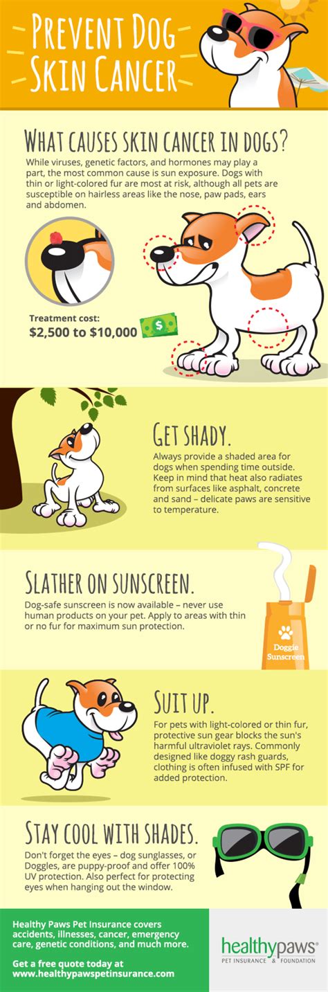 How Do Dogs Get Skin Cancer