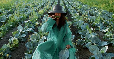 녹색 녹지 농업 분야 농작물 농장 농장 생활 드레스 만지는 맑은 날 먹는 모자 브라 시카 올레 라 세아