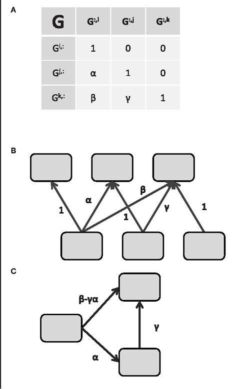 Figure 1 From Identifying Effective Connectivity Parameters In Simulated Fmri A Direct