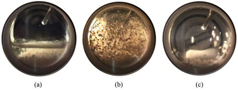 Inside View Of The Variable Volume Reactor VVR During Geranyl Acetate Download Scientific