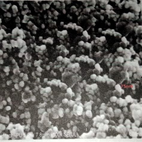 Priyansh Bhatnagar On Linkedin Sem Analysis While The Scanning