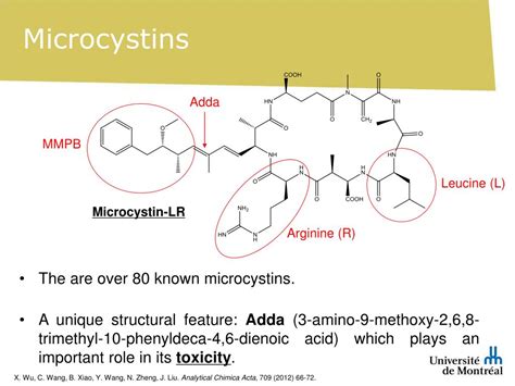 Ppt Accelerating The Analysis Of Cyanotoxins Powerpoint Presentation Id3385127