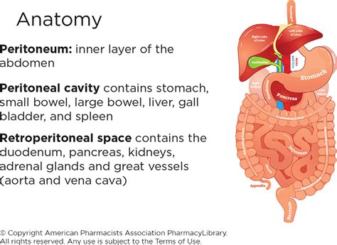 Intraabdominal