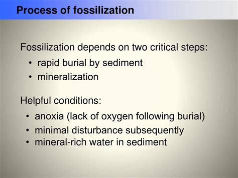PPT Fossilization And Fossils PowerPoint Presentation Free Download ID