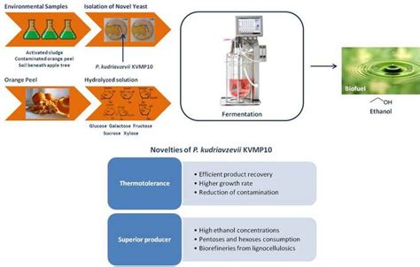 Isolation Of Thermotolerant Yeast For Bioethanol Production