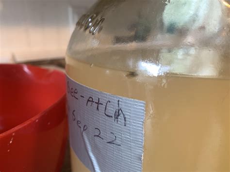 Theres A Bug In My Mead Is My Batch Screwed Rmead