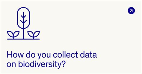 Deep Dive Biodiversity Metrics