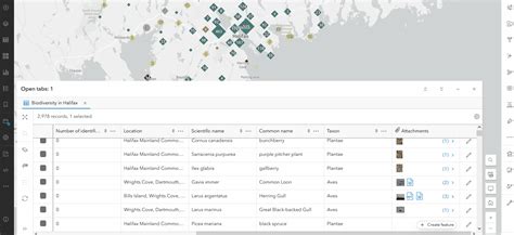 Whats New In Map Viewer November 2024