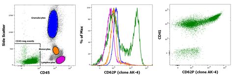 Cd62p P Selectin Antibody Fitc 11 0628 42