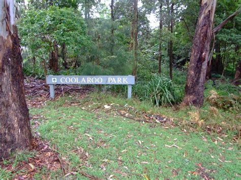 Coolaroo Reserve Action Plan Chatswood West Ward History