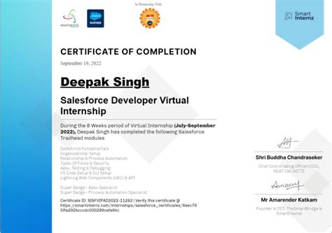 Salesforce Salesforcedevelopers Internship Opportunity Connections Deepak S