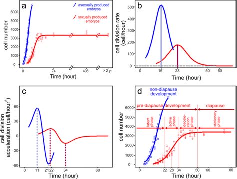 Cellular Growth Curves Based On DAPI Stained Nuclei In Asexually And Download Scientific