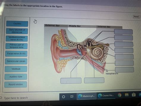 solved drag the labels to the appropriate location in the