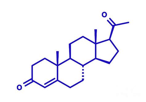 Puberty Art Fine Art America