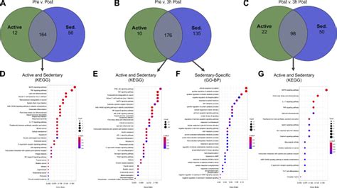 Skeletal Muscle Transcriptome Response To A Bout Of Endurance Exercise