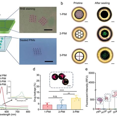 Design Of The Microrobotic System A Schematic Illustration Of Download Scientific Diagram