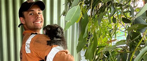 Active Tree Services Supporting Communities