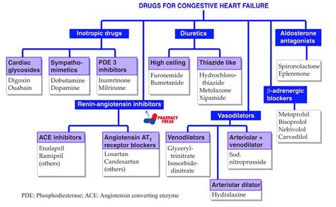 Hearthealthy Recipes For Congestive Heart Failure