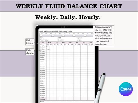 Fluid Balance Chart Printable Daily Intake And Output Tracker Medical Log Template Nurse