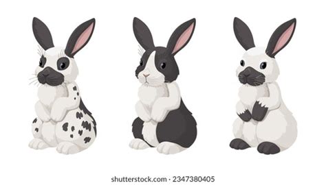 English Spot Rabbit Personality 20 English Spot Rabbit Love These